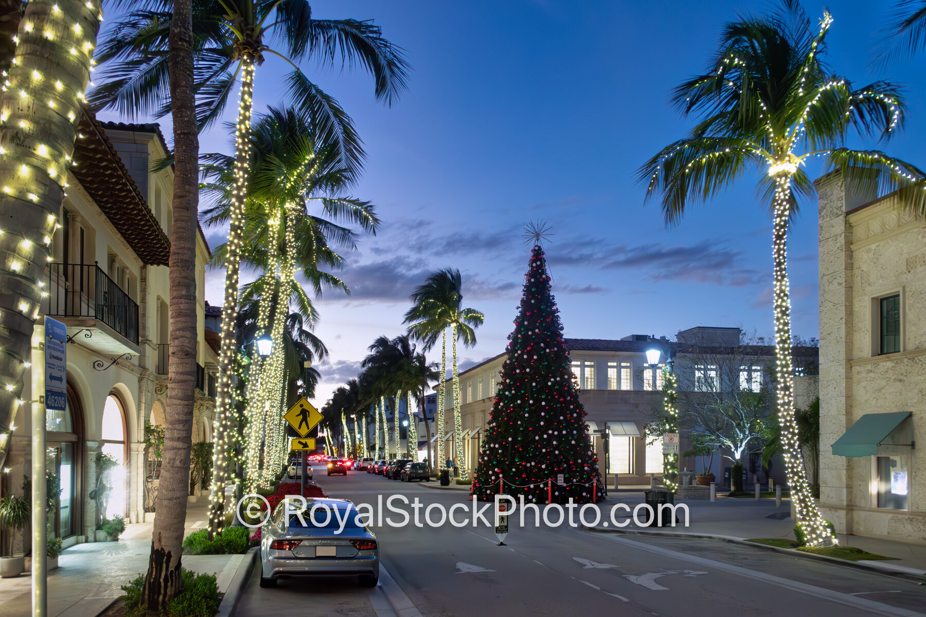Palm Beach Island Christmas Tree 2024 | Royal Stock Photo
