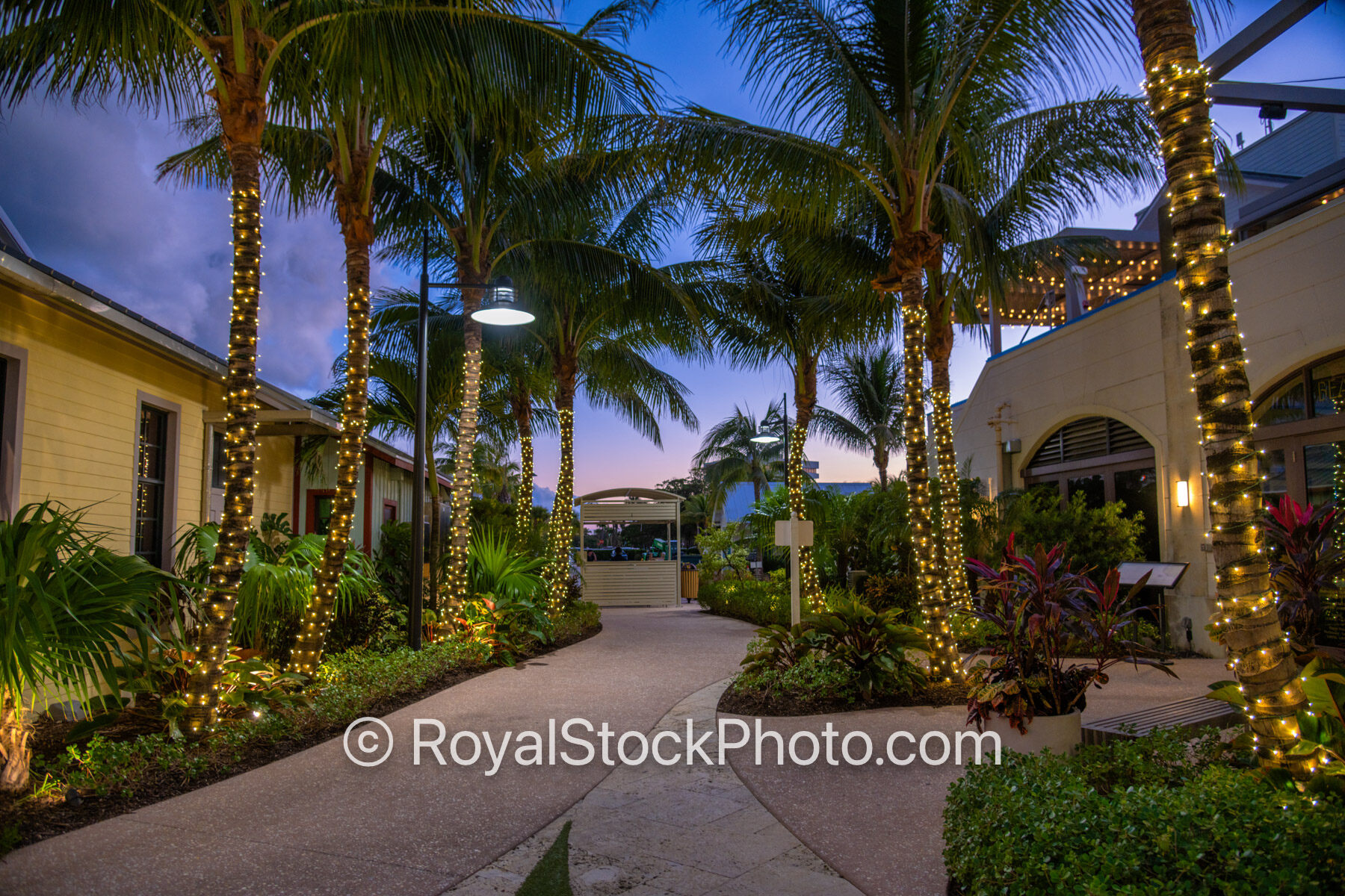 Gallery | Royal Stock Photo