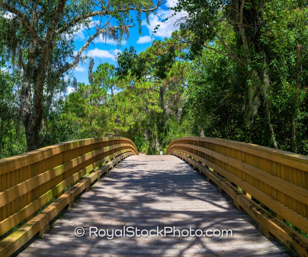 Elevated Wooden Bridge Arching Over Lush Green Vegetation Along Hidden ...