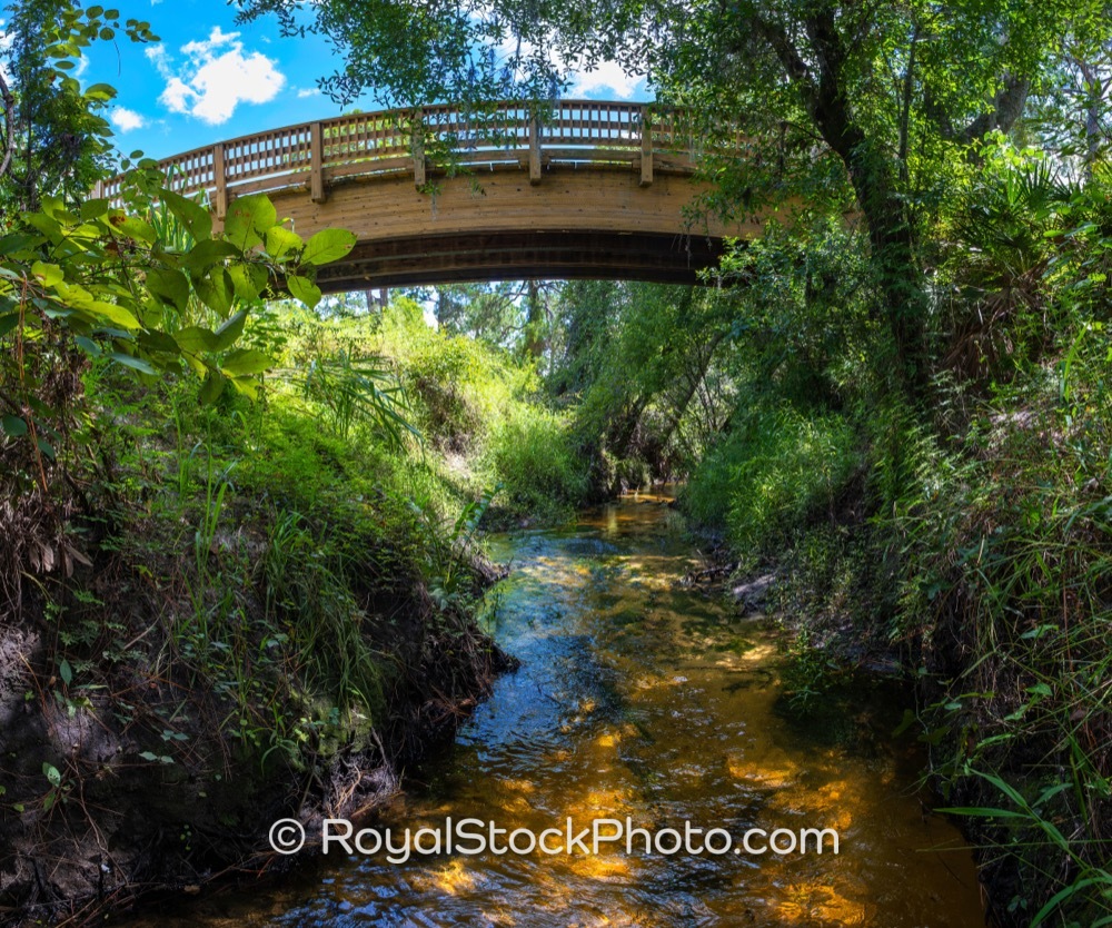 Wooden Bridge Spanning Flowing Creek Surrounded by Lush Vegetation on ...