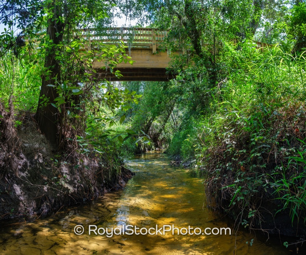 Elevated Wooden Bridge Crossing Winding Stream Surrounded by Lush ...