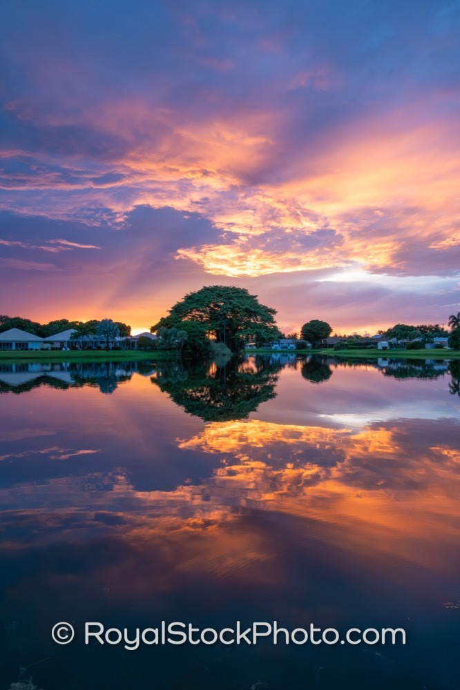 Preserving Natural Waterfront Habitats at Lake Catherine Parks Sunset ...