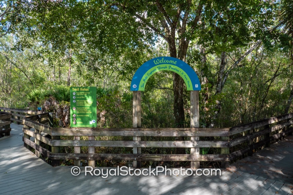 Preserve the Natural Ecosystem at Six Mile Cypress Slough in Fort Myers ...