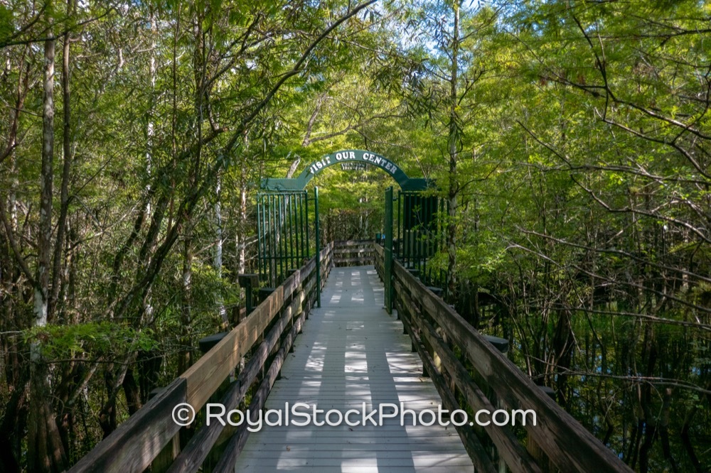 Recreational Facilities Enhance Visitor Experience at Six Mile Cypress ...