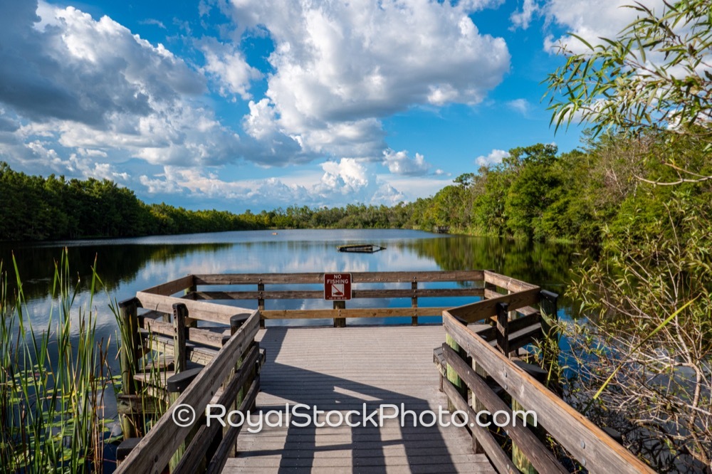 Enhance Guest Experiences with Scenic Boardwalks at Six Mile Cypress ...
