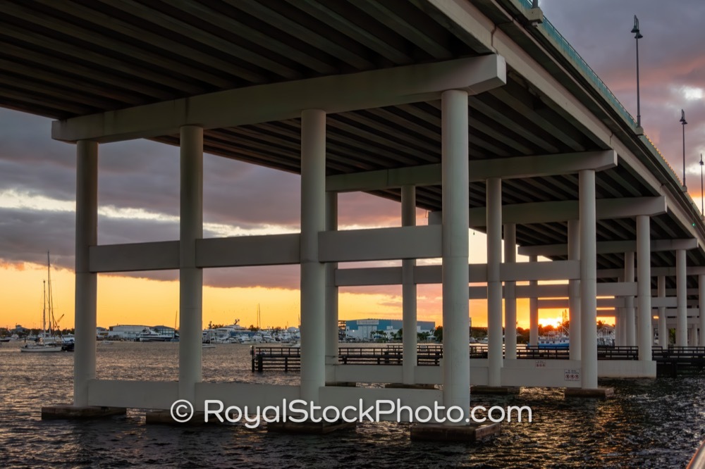 Protected Coastal Ecosystem of Blue Heron Bridge Showcases Local ...