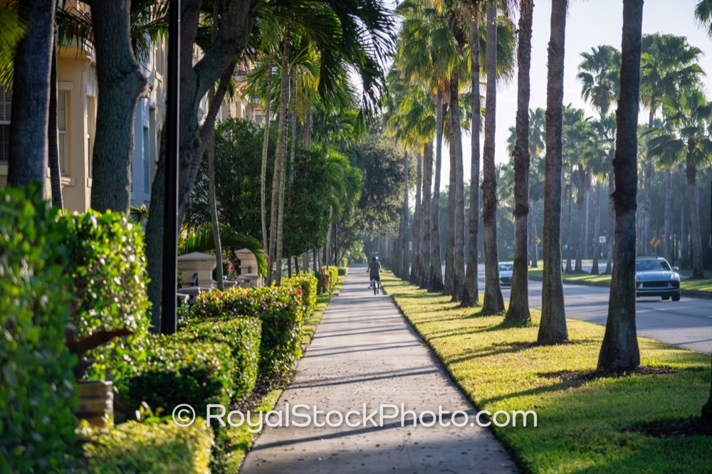 Inviting Landscaped Pathways Provide Ideal Setting for Outdoor ...