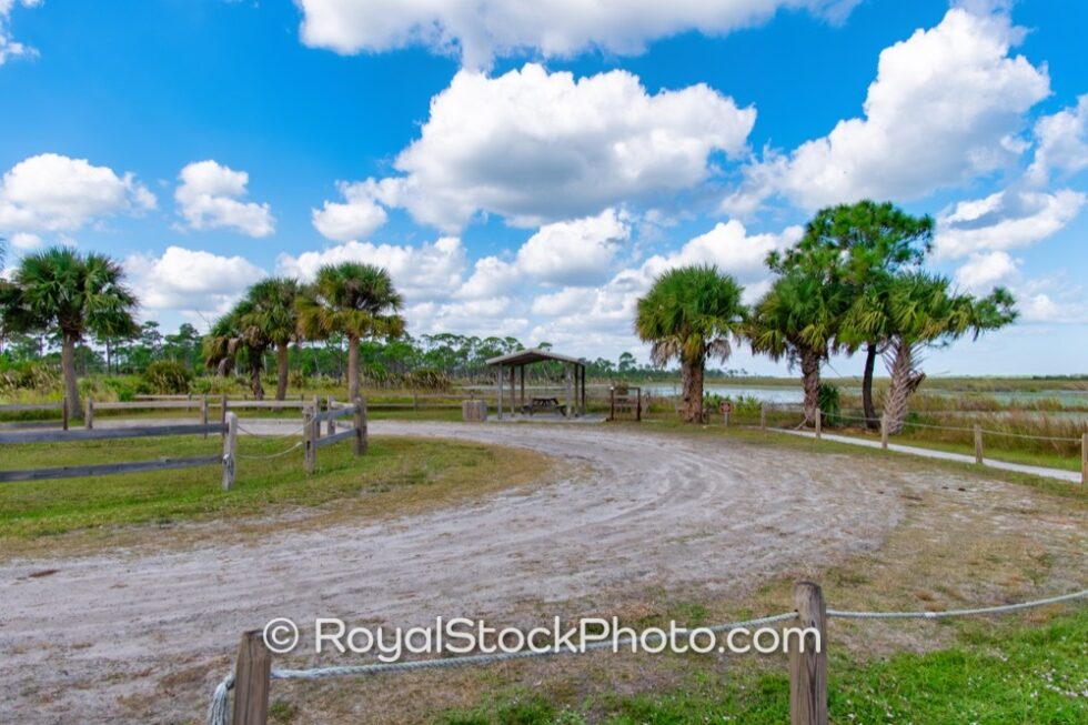 Preserve Natural Landscapes and Wildlife Habitat in Savannas Preserve ...