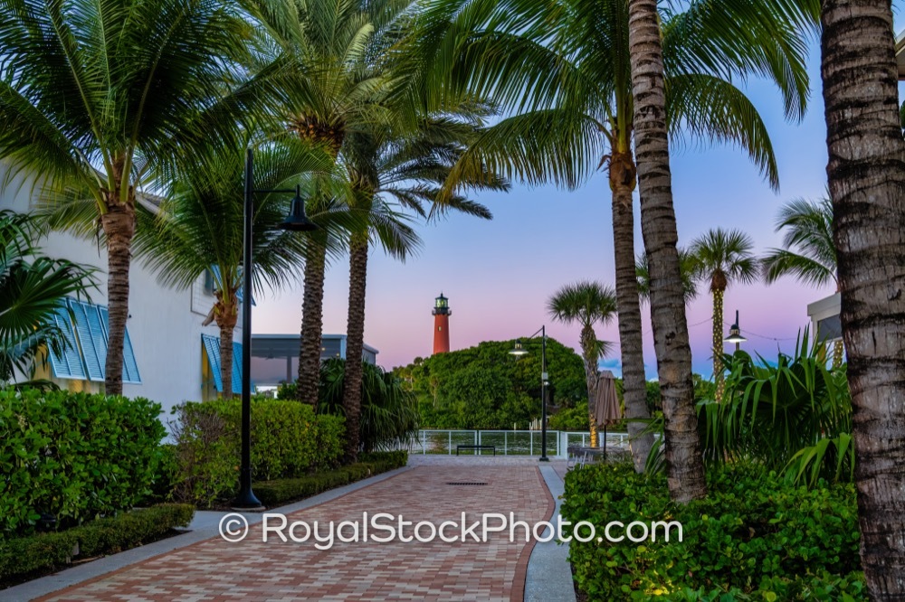 Iconic Jupiter Inlet Lighthouse Framed by Palm Trees at Sunset for ...