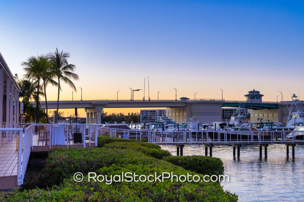 Wildlife Enthusiasts Captured at Sunset Near Jupiter Inlet Marina in ...