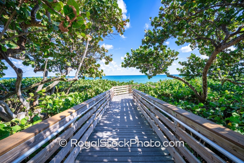 Scenic Boardwalk Offers Access to Vibrant Ocean Views Along Jupiter ...