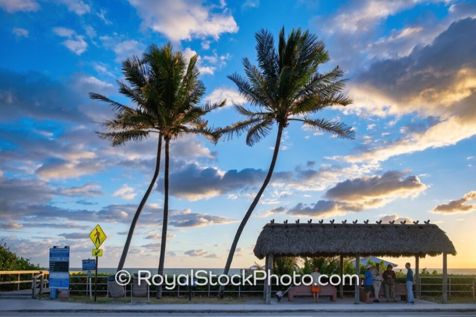 Explore Vibrant Beachfront Activities at Juno Beach Park to Showcase ...