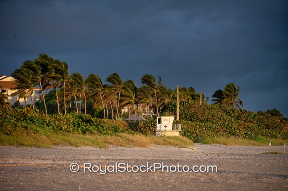 Coastal Habitat Conservation Efforts Highlight Coastal Ecosystem ...