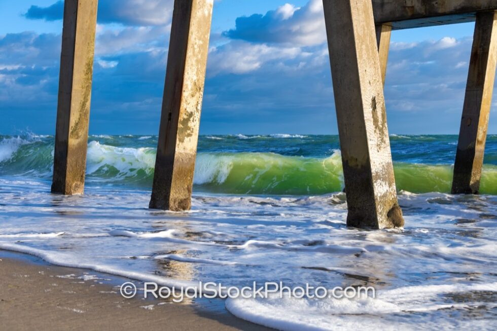 Preserved Coastal Ecosystem Thrives Under Juno Beach Pier During ...