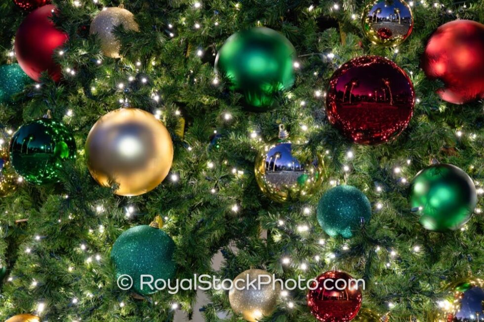 Festive Holiday Celebrations Shine Bright at Alton Town Center in Palm Beach Gardens on Donald ...