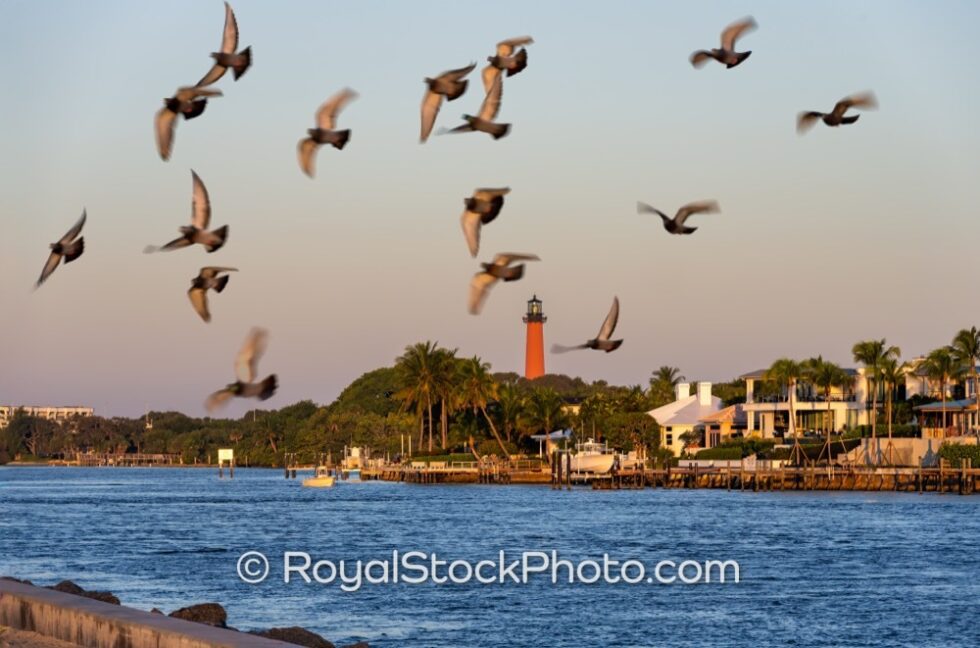 Iconic Jupiter Inlet Lighthouse Illuminated by Morning Light Captures ...