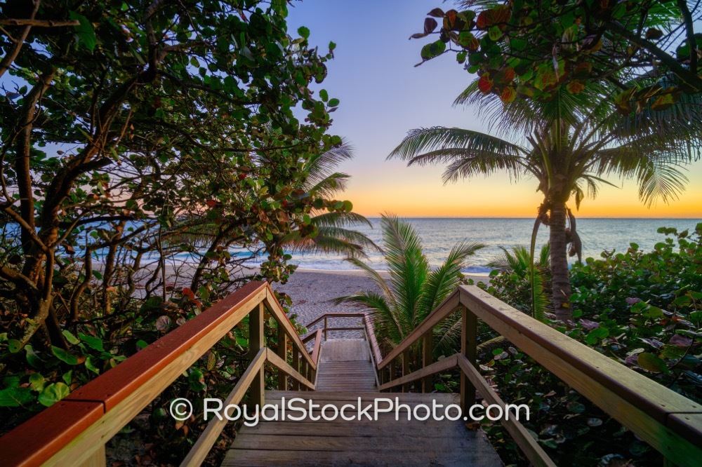 Explore the Scenic Path From Ladder 38 to Coastal Wonders at Jupiters ...