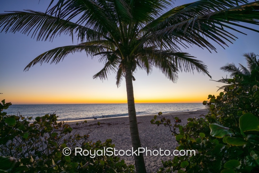 Coastal Leisure and Beachfront Amenities Await Visitors at Jupiter Dog ...