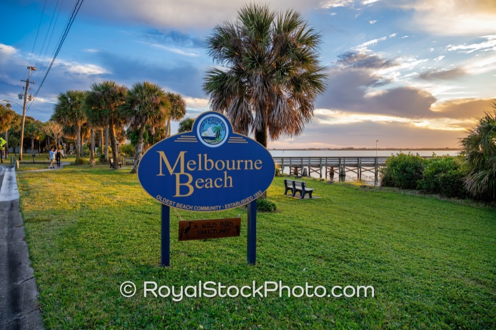Natural Beauty and Coastal Ecosystem Flourish at Melbourne Beach During ...