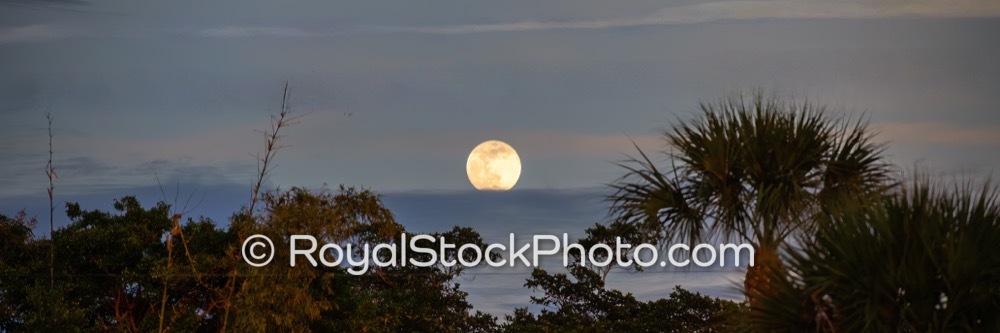 Capturing the Mesmerizing Moonrise Over Melbourne Beach Florida for ...