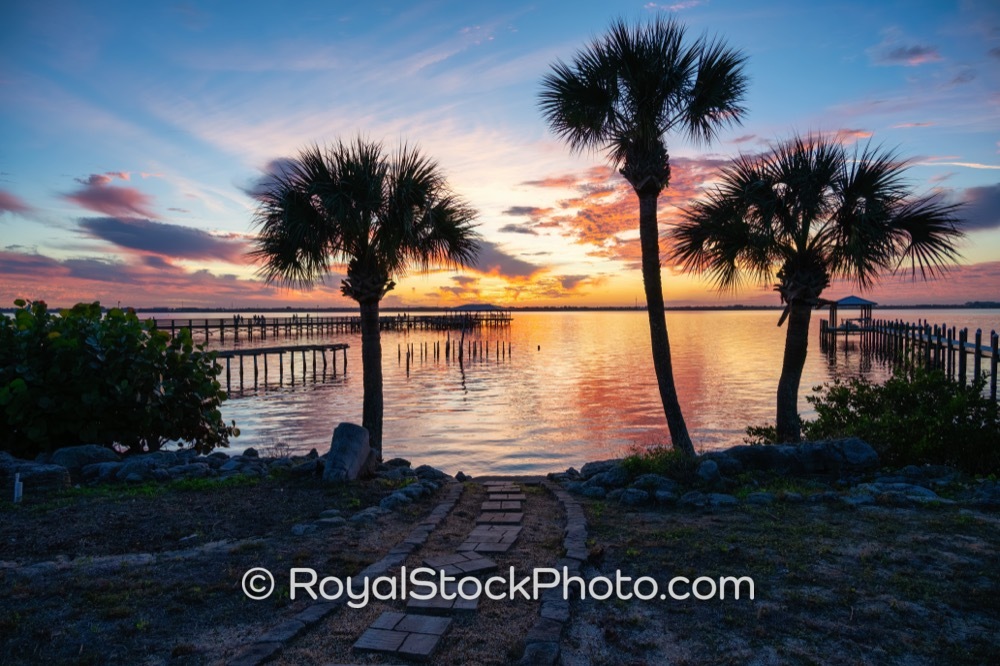 Protecting Wildlife and Natural Habitats While Enjoying the Sunset ...