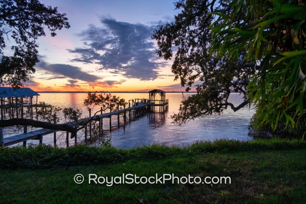 Native Ecosystems Flourish Along Ryckman Park Pier at Spectacular ...