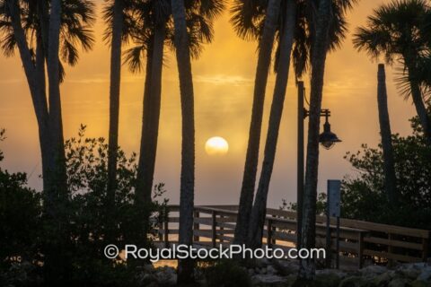 Native Habitat and Sunrise Glow Unite at Castaways Point Park in Palm ...