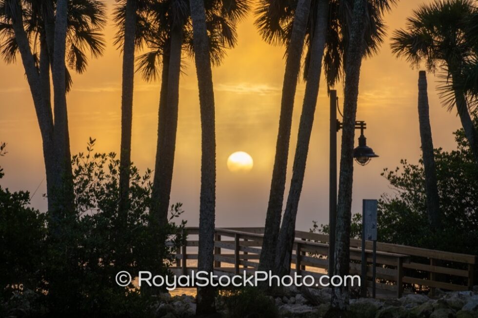 Native Habitat and Sunrise Glow Unite at Castaways Point Park in Palm ...