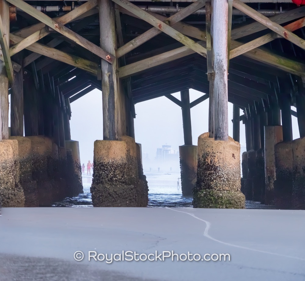 Coastal Community Activities Under the Daytona Beach Main Street Pier ...