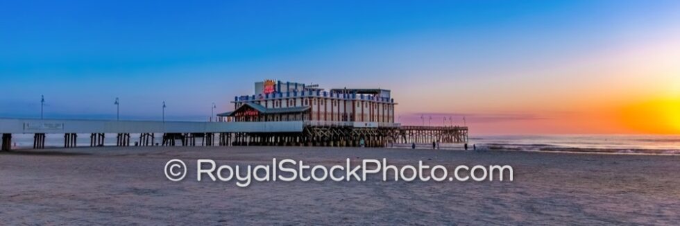 Preserving Marine Habitats Along Daytona Beach Main Street Pier at ...