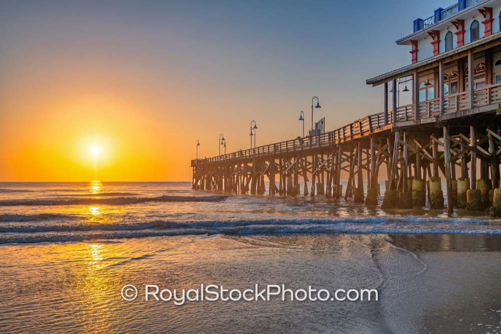 Preserve Coastal Ecosystems at Daytona Beach Main Street Pier During ...