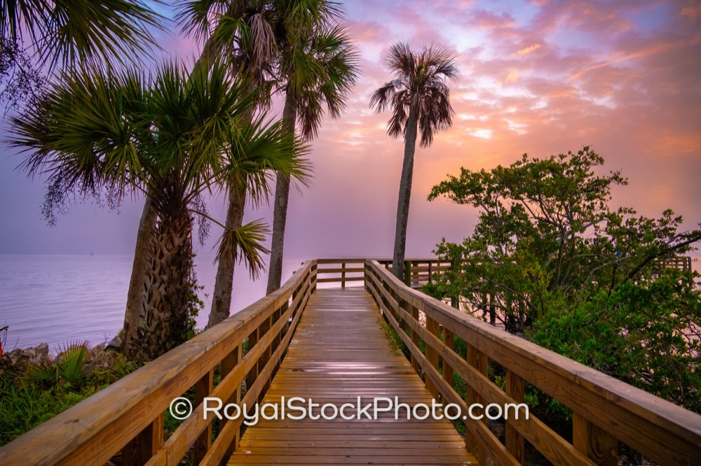 Inviting Coastal Walkway Connects Visitors with Natures Beauty in Palm ...