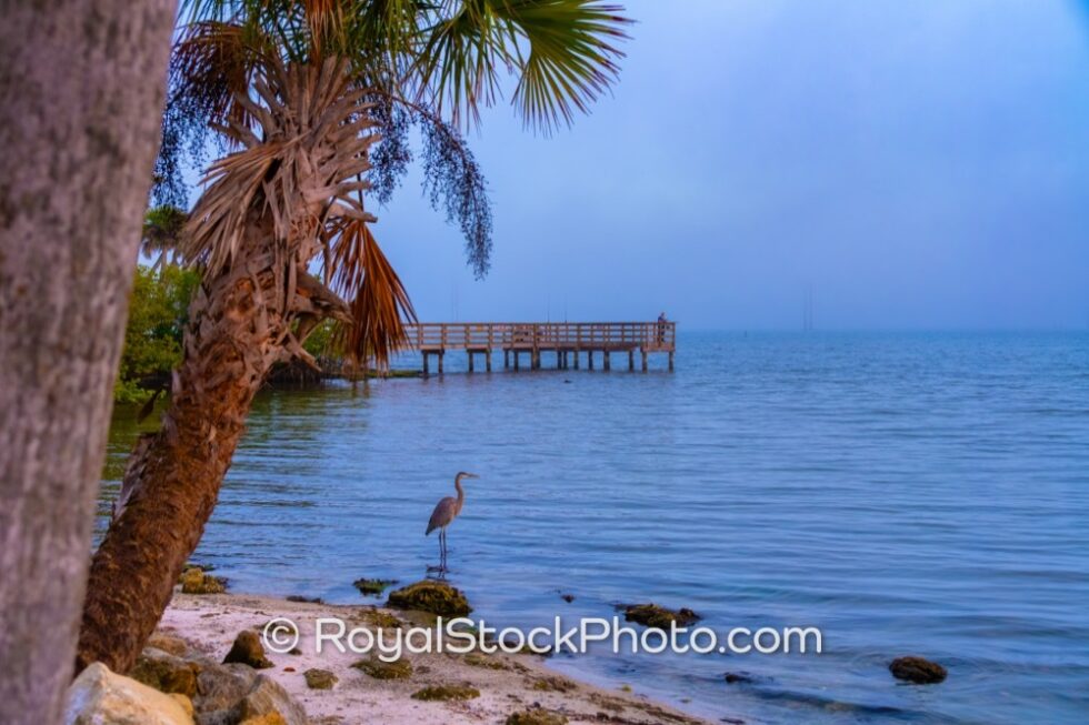 Natural Habitat and Recreational Activities Highlighted at Castaways ...