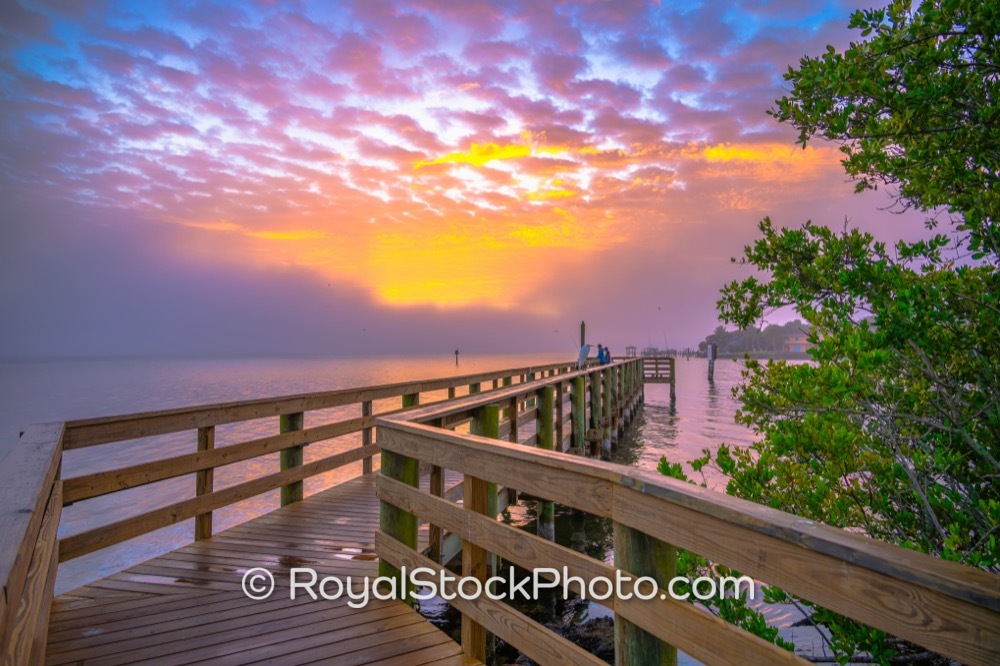 Preserve Coastal Ecosystems with Engaging Activities at Castaways Point ...