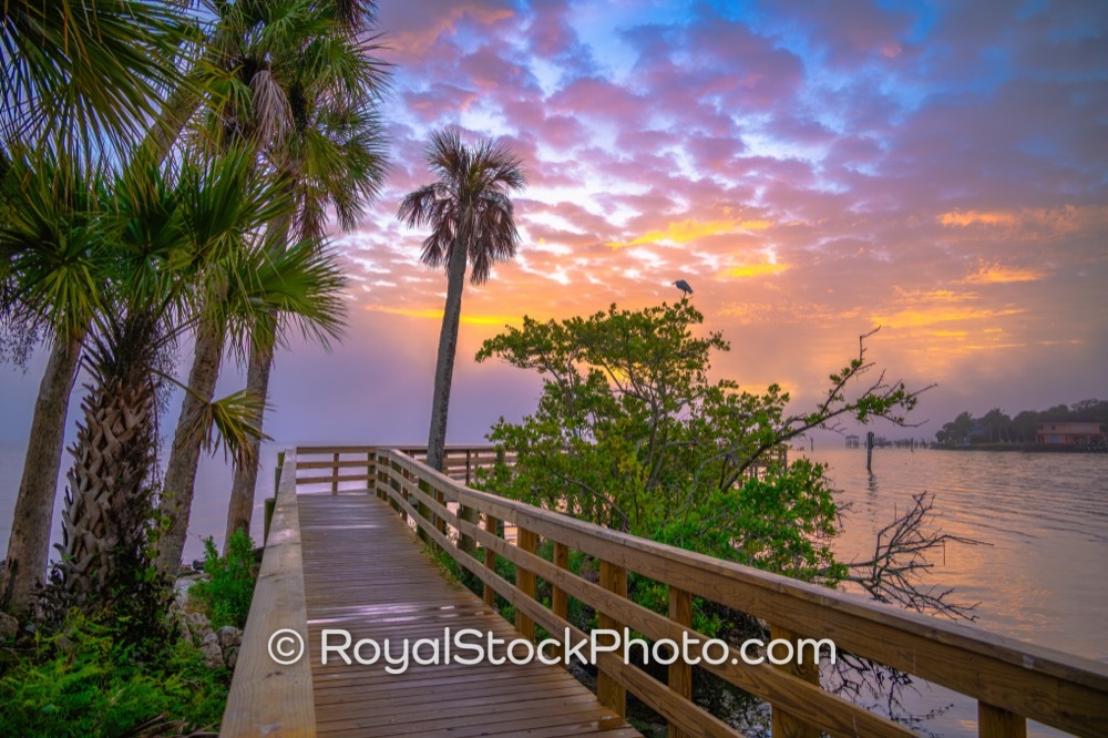 Waterfront Boardwalk Experience Highlights Natures Beauty at Castaways ...
