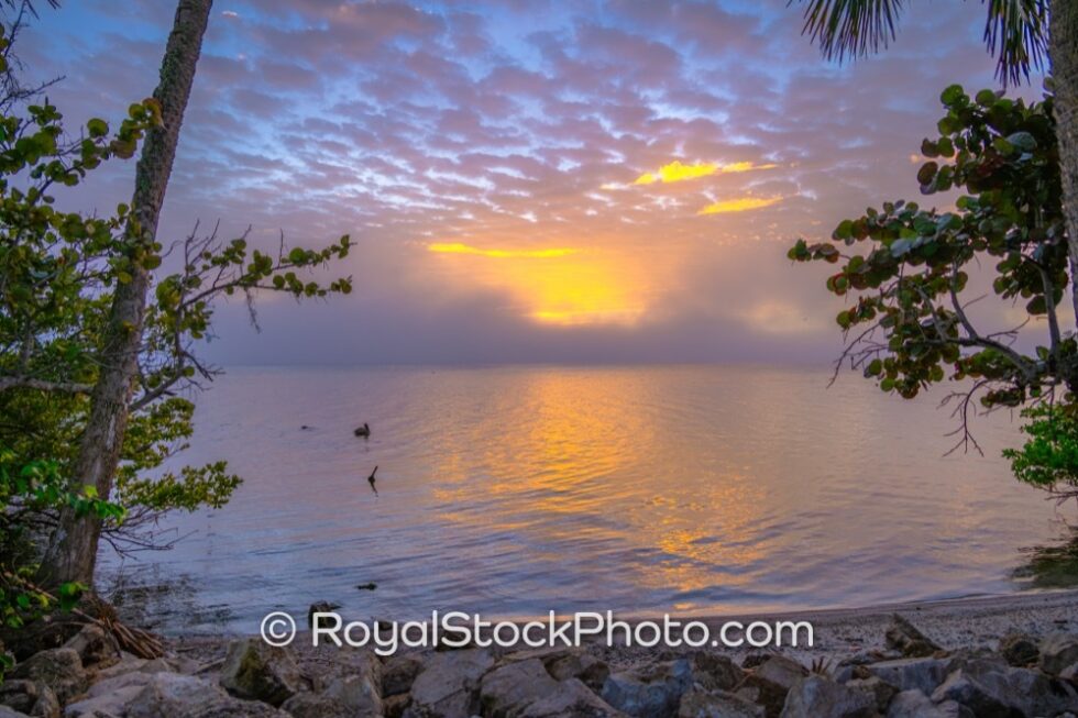 Luxury Community Living with Serene Sunrises over Waters of Castaways ...