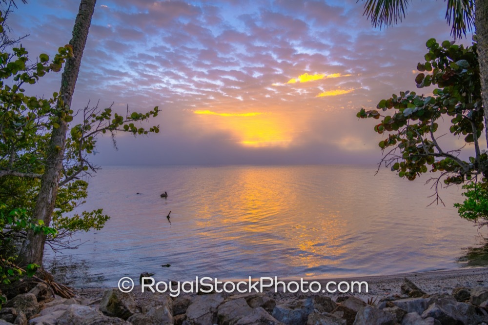 Luxury Community Living with Serene Sunrises over Waters of Castaways ...