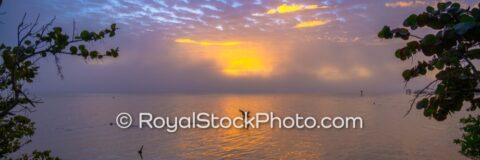 Engaging Recreational Activities Highlight Marine Life at Castaways ...