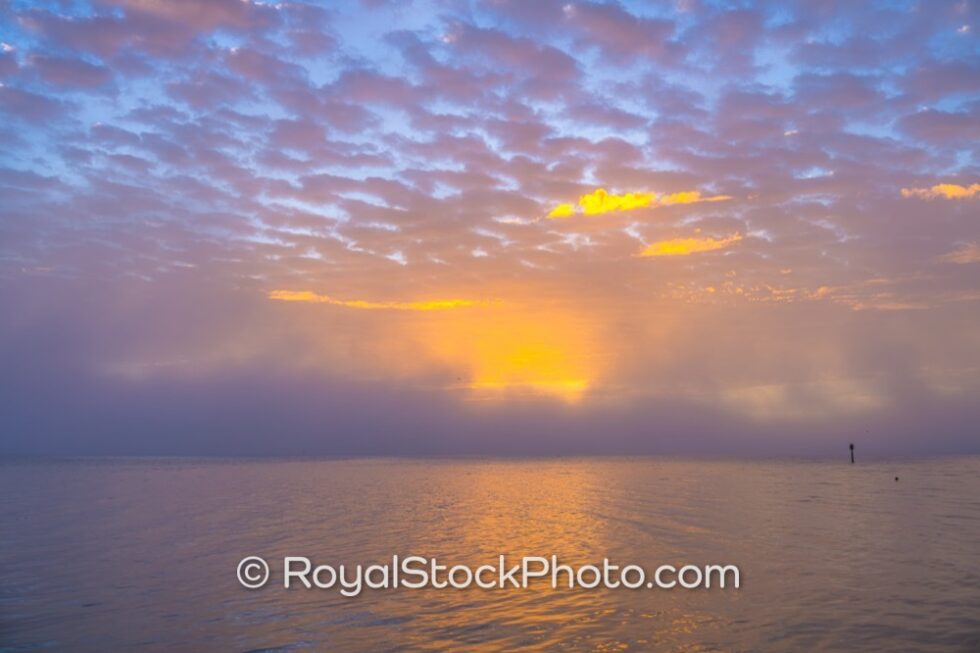 Explore Native Flora and Sunrise Serenity at Castaways Point Park in ...