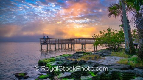 Vibrant Morning Activity at Castaways Point Park Attracts Visitors to ...