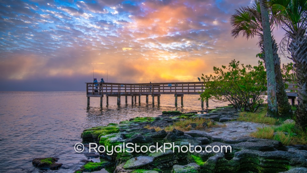 Vibrant Morning Activity at Castaways Point Park Attracts Visitors to ...
