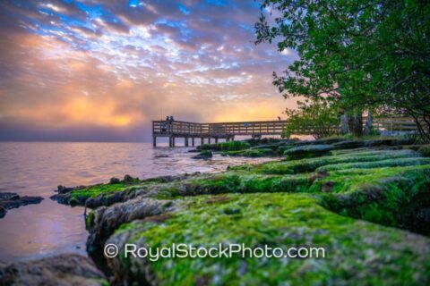 Coastal Ecosystem Embraced by Sunrise Glow at Castaways Point Park in ...