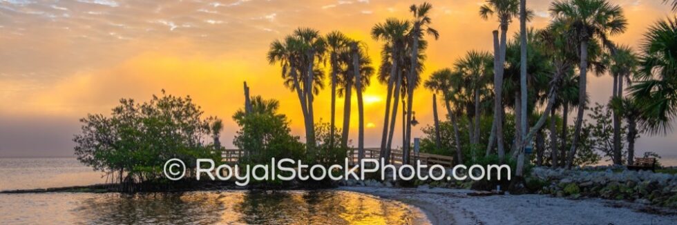 Coastal Mangroves and SunKissed Waters Enrich Ecosystems at Castaways ...