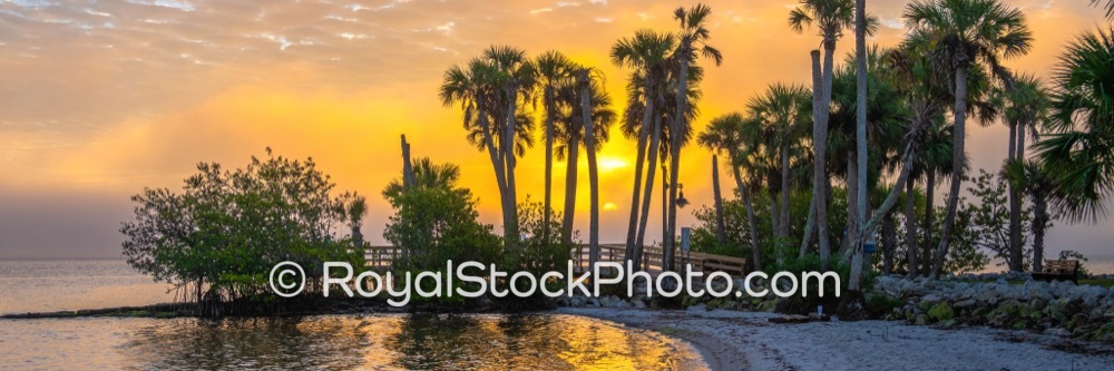 Coastal Mangroves and SunKissed Waters Enrich Ecosystems at Castaways ...