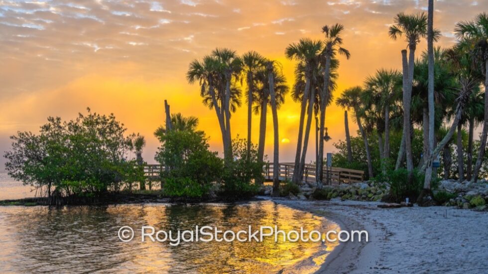 Waterfront Highlights Showcase Vibrant Living Near Castaways Point Park ...