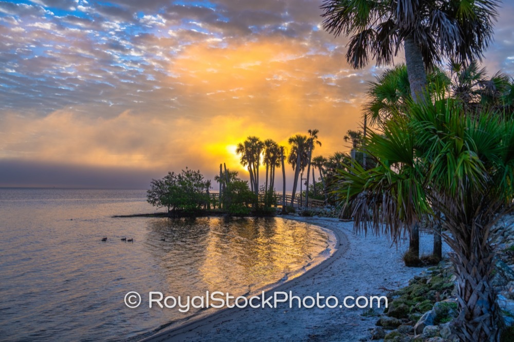 Habitat Preservation Enhances Ecosystem Health at Castaways Point Park ...