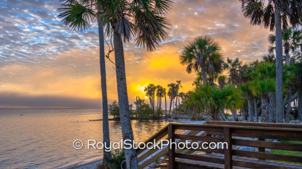 Elevated Waterfront Properties Highlight Spectacular Sunrise Over ...