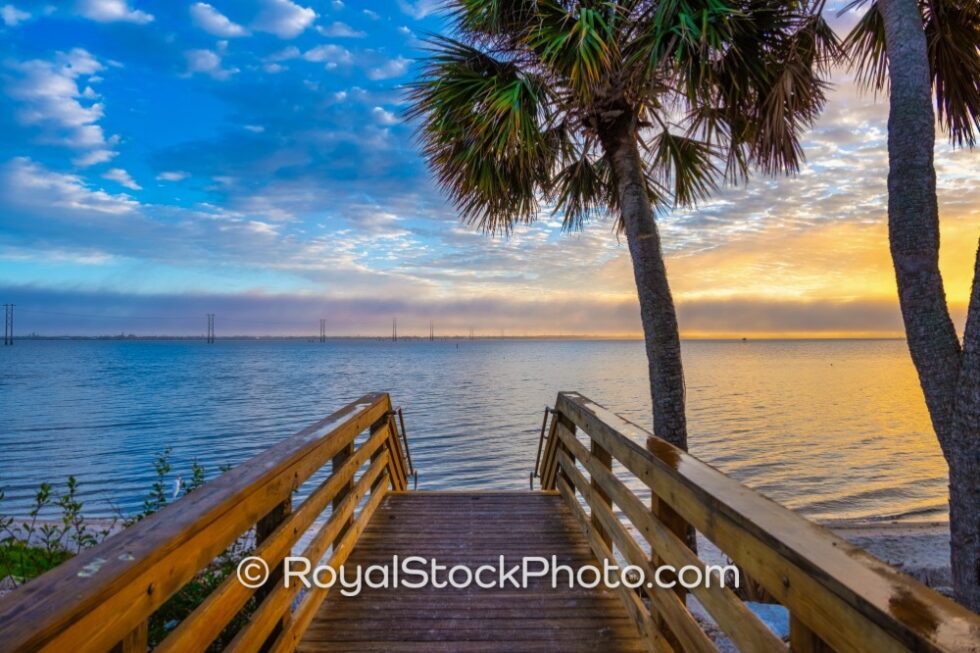 Vibrant Coastal Ecosystem Showcases Native Wildlife and Habitat ...
