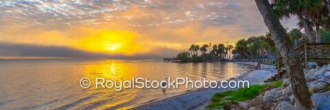 Native Coastal Wildlife Thrives Amidst Golden Sunrise at Castaways ...