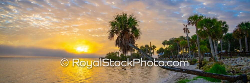Explore the Iconic Waterways of Castaways Point Park in Palm Bay ...